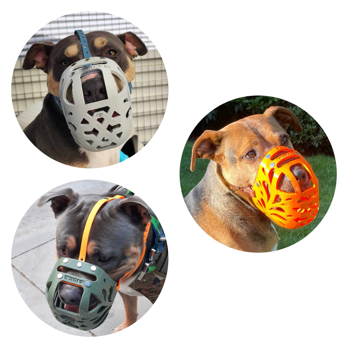 Bite-Proof Dog Muzzle NZ – Kiwi Canine