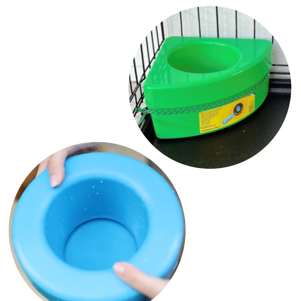 K9 Cruiser Bowl – Kiwi Canine
