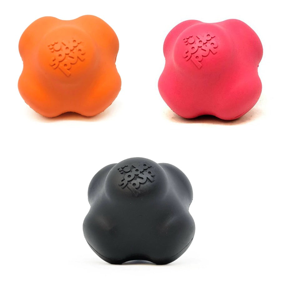 SodaPup Crazy Bounce – Kiwi Canine